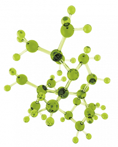 About PolyPeptide Group